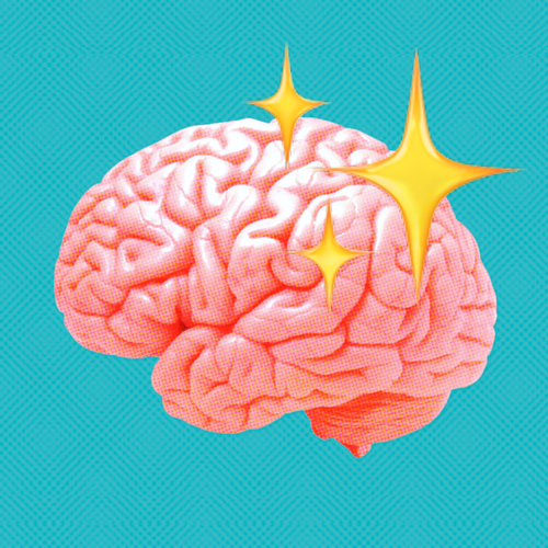 The Brain Trainer™ – Training YOUR brain by the renewing of your mind.